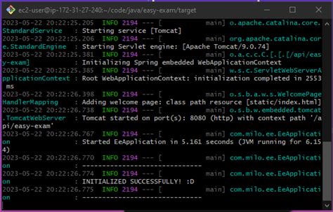 Porqué No Se Muestra Mi Aplicación Spring Boot Que Desplegué En Una