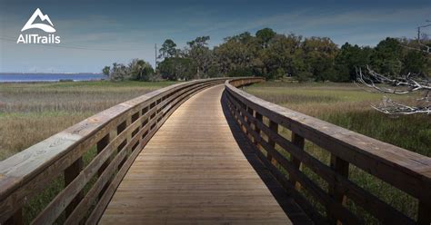 Best Bird Watching Trails In Jekyll Island Alltrails