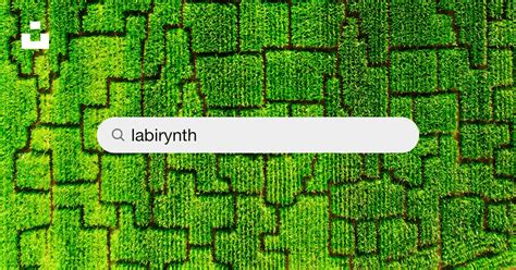 Images De Labirynth Téléchargez Des Images Gratuites Sur Unsplash