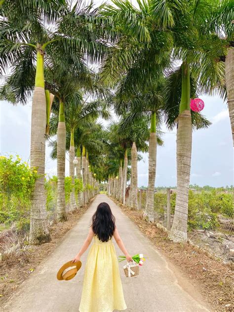 Check In đường Cau Vua Tân Trụ Tuyệt đẹp ở Long An