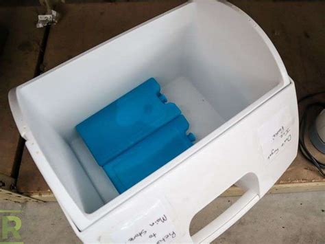 Igloo Lunch Box Roller Auctions