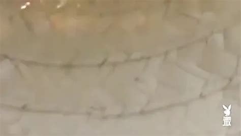 Elif Celik Nude Porn Videos And Sex Tapes Xhamster
