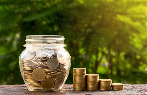 비즈니스와 회계 개념에 대 한 자연 배경에서 성장 하는 동전의 스택과 함께 돈을 절약 개념에 대한 스톡 사진 및 기타 이미지 개념 개념과 주제 경제 Istock