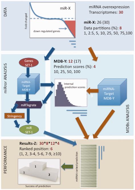 A Workflow For Assessing The Performance Of Mirna Predictions Analysis