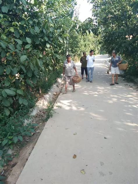 用心做事，履职为民 ——记左家乡人大代表周建荣