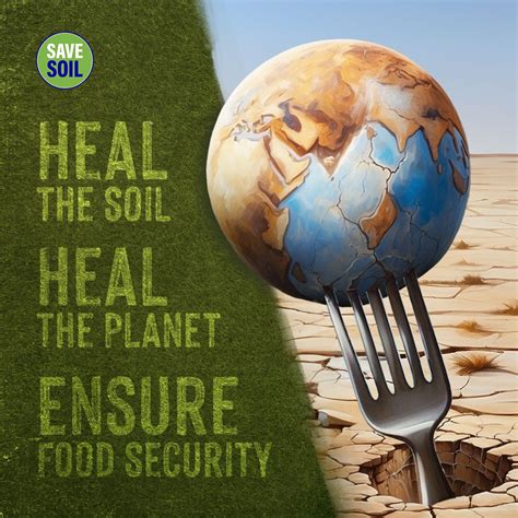Diana Doheny On Linkedin Let Food Be Thy Medicine And Medicine Be Thy