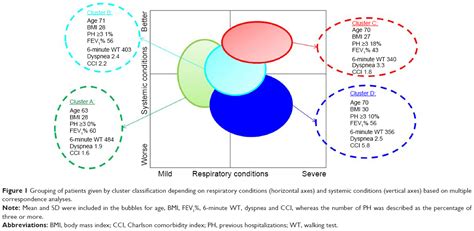 Copd Classification Models And Mortality Prediction Capacity Copd