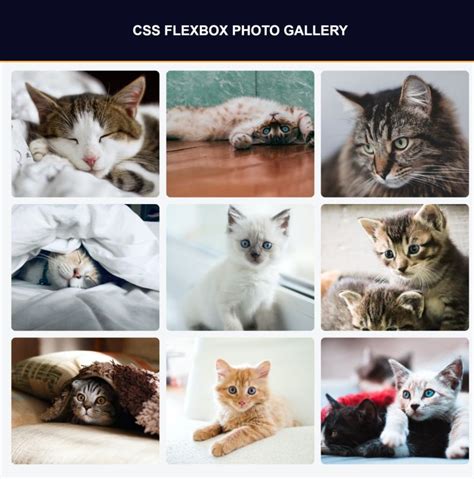 Bhagyashri Zade On Linkedin Completed Another Of The Css Modules Of The Responsive Web Design