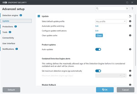 Update Setup ESET Endpoint Security ESET Online Help