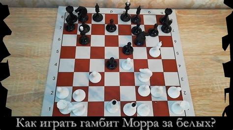 Красивая ловушка в гамбите Морра за белых Youtube