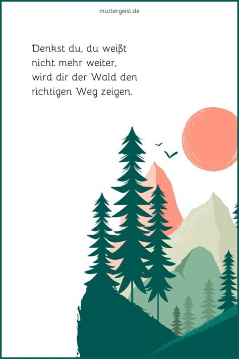 Wald Sprüche Für Inspirierendes Waldgeflüster