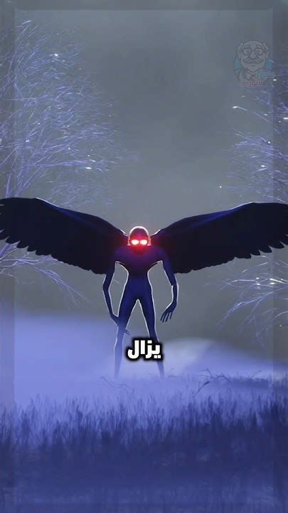 عثروا على وحش غريب في طريقهم 😱 Youtube
