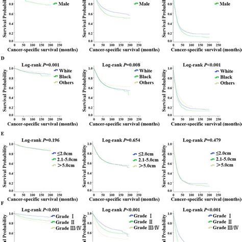 Survival Analysis By Primary Tumor Site Age Sex Race Tumor Size Download Scientific