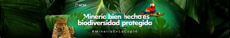 Asociación Colombiana De Mineria En Linkedin Mineríabienhecha Cop16