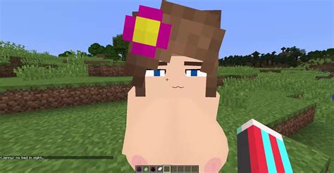 Basically Minecraft Sex FAPCAT