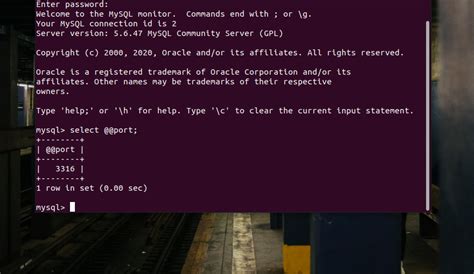 issues running reference application 2 11 0 standalone development