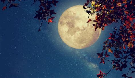 25 Ocak 2024 Aslan burcunda Dolunay ın burçlara etkileri Astroloji
