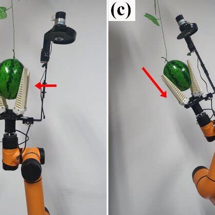 Operating Process Of The End Effector A The End Effector Reaches The