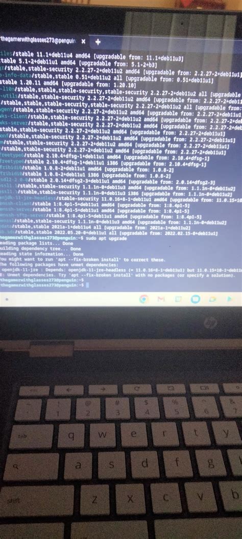 Can Someone Help Me Update My Linux Terminal Im Having Weird Problems