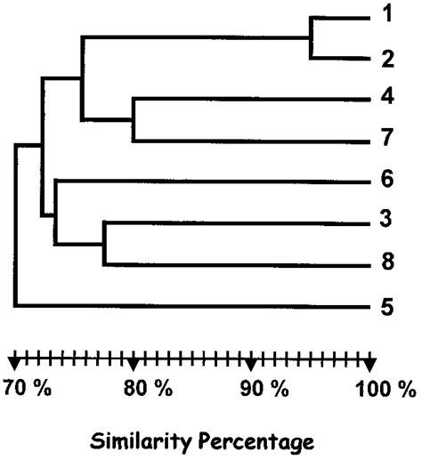 similarity dendrogram obtained by analysis by the unweighted pair group