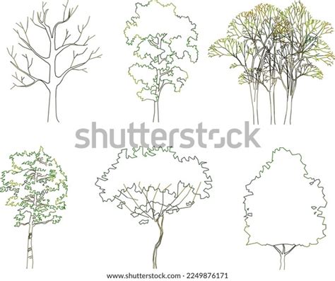 Minimalist Colored Tree Illustration Vector Sketch Stock Vector Royalty Free 2249876171