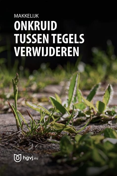 Makkelijk Onkruid Tussen Tegels Verwijderen Artofit