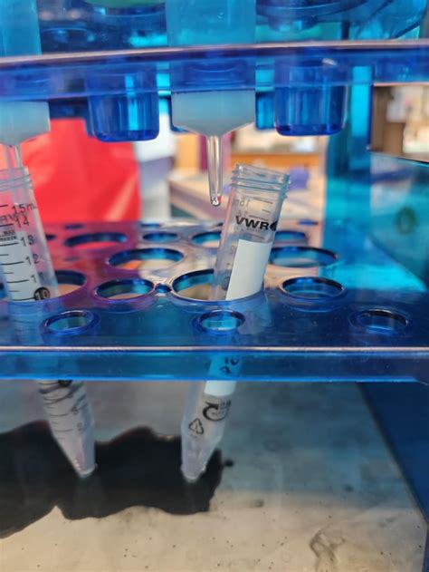 They Dont Call Me The Plasmid Prep Master For Nothing Rlabrats