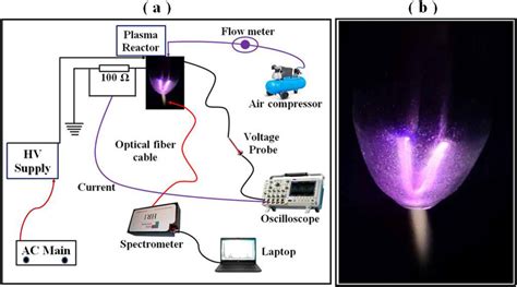 A Diagrammatic Representation Of The Process Of Producing Download Scientific Diagram