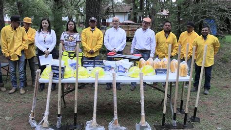Inicia Apeam Programa De Conservación De Bosques En Uruapan Quadratín