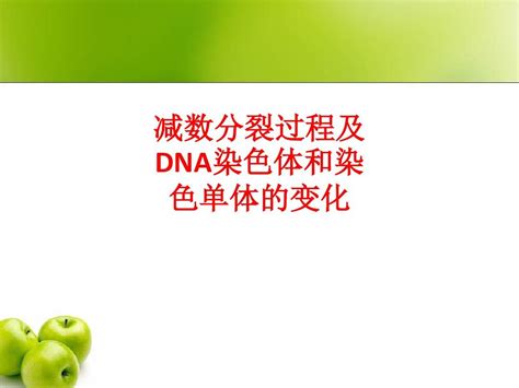 减数分裂过程及dna染色体和染色单体的变化 Word文档免费下载 亿佰文档网