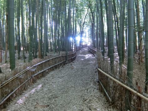 細根山オアシスの森と細根天満宮 緑区周辺そぞろ歩き