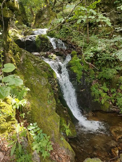 Водопади на река Свигьовица при завой на пътя за връх Тумба над с Скрът в Беласица на 21 км