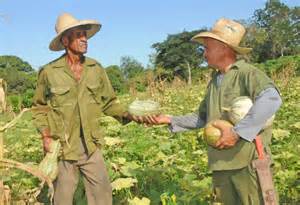 Periódico De La Provincia De Guantánamo El Mulo Sigue Su Trote