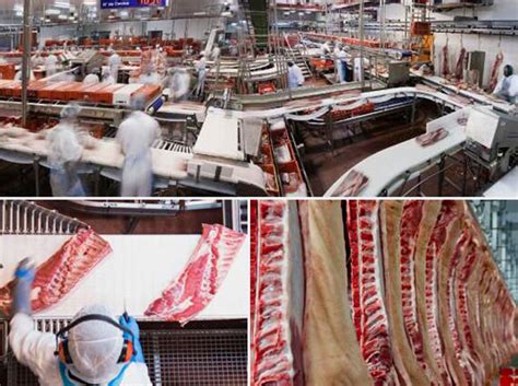 进口牛肉进口猪肉冷冻牛肉冷冻猪肉河北省正义通进出口有限公司