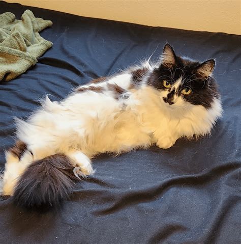 Showing Off Her Best Side Rfloof