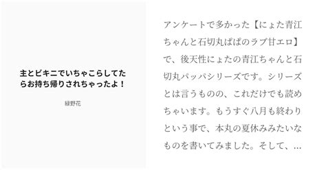 R 18 3 主とビキニでいちゃこらしてたらお持ち帰りされちゃったよ！ 後天性にょたの青江ちゃんと石切丸パッ Pixiv