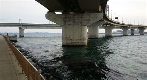 【常滑市】りんくう釣り護岸の釣り場・情報