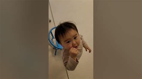 18개월 아기 숨바꼭질 Youtube