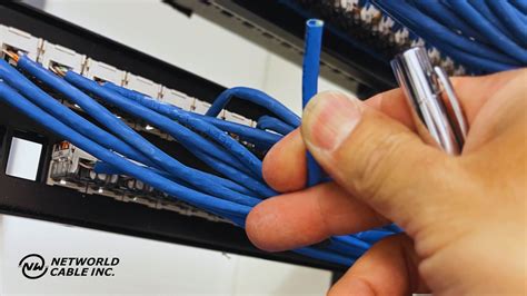 Networld Cable Premier Cabling Partner In Vancouver
