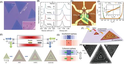 A Optical Microscope Om Image Of Mose2wse2 Heterostructures By