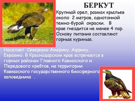 Животные презентация онлайн
