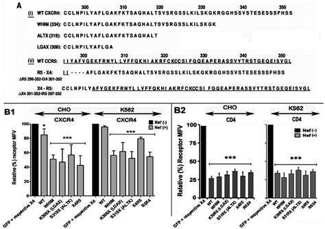 Cell Surface Expression Of C Terminally Truncated Cxcr4 Mutants And