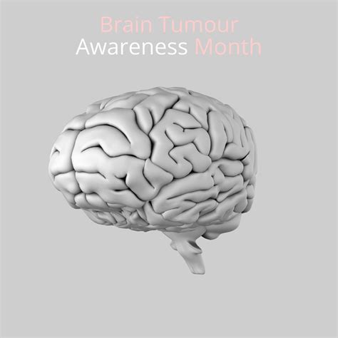 3d brain model for brain tumour awareness campaign