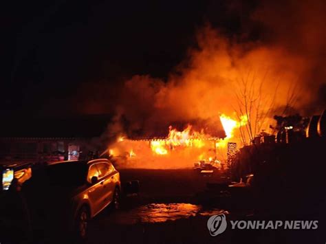 눈 없는 겨울 바짝 마른 동해안강수 예보없어 대형산불 우려 나무뉴스