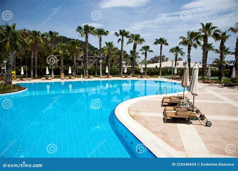 Piscina Y Palmeras Zona De Estar De Un Bonito Complejo Vacaciones De