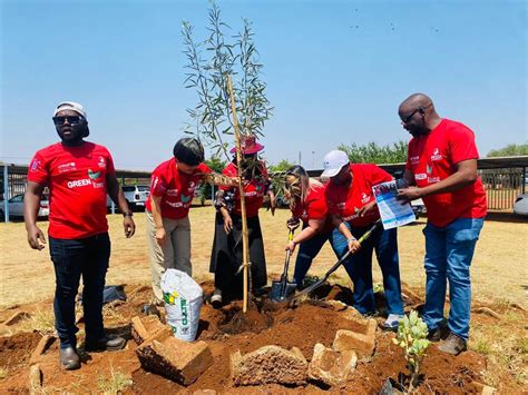 protect and restore project sees pupils plant trees succulents and garden