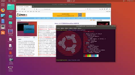 Neofetch使用教程 《linux就该这么学》