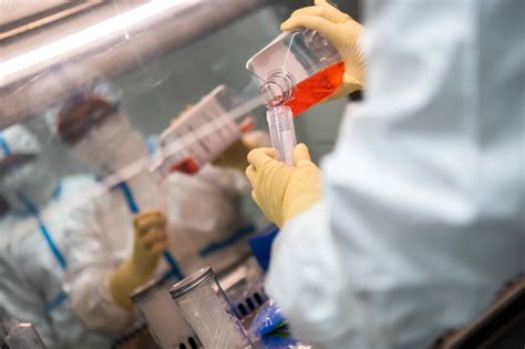 Phase Appropriate Plasmid Manufacturing Its In Our Dna Gianpiero Lazzari