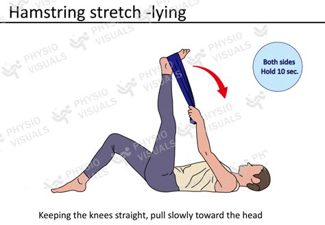 Hamstring Stretch Lying Physio Visuals Illustrated Exercise Stretching And Rehabilitation