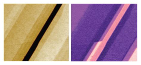 Dimension Nexus Atomic Force Microscopy Generasi Baru Untuk Berbagai Aplikasi Artikel